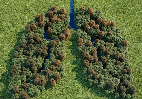 Spirometry Understanding The Flow Volume Loop