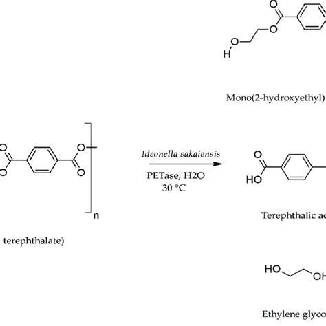 Pdf Biological Degradation Of Polymers In The Environment