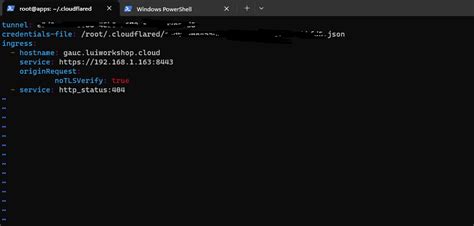 Hey Everyone I Am Trying To Run My Cloudflared Tunnel With CLI This
