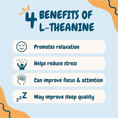 L Theanine Brain Fog Evidence Safety And Limits Explained Sensiq