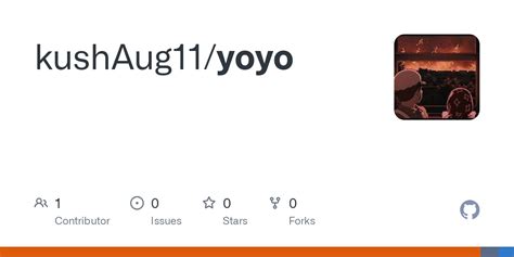 GitHub KushAug Yoyo