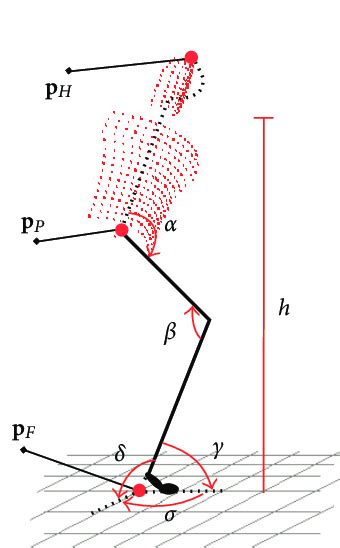 3d Human Model For Posture Classification Download Scientific Diagram
