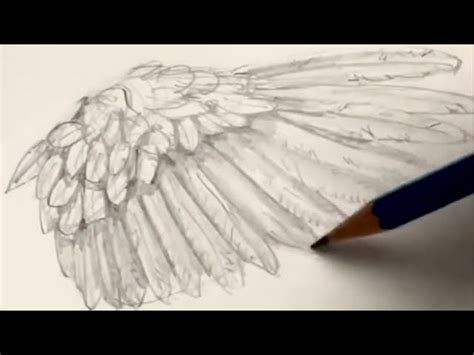 Pencil Drawings Of Angels Wings