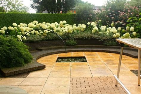 Дизайн игра «Правила подбора кустарников в композиции Кустарники Сад с гортензиями Композиция