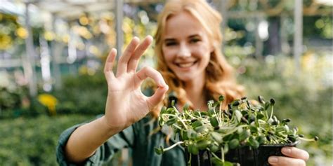 Місячний посівний календар на липень 2024 року сприятливі та невдалі дні для робіт в саду та на