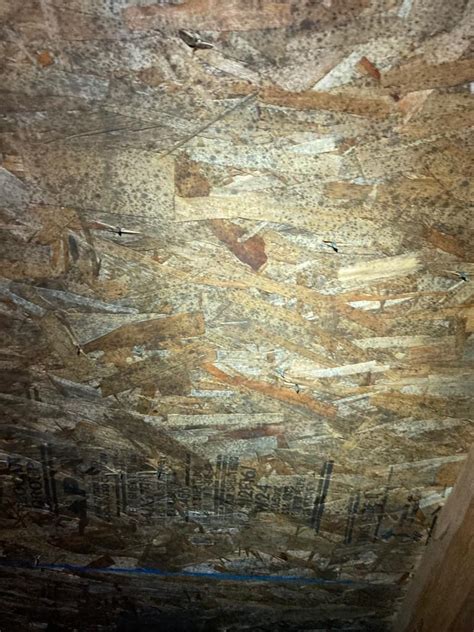 Attic Mold Remediation Attic Doctor