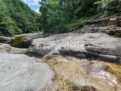 여름 휴가 바캉스 계곡 풍경 사진이미지일러스트캘리그라피 맥치작가