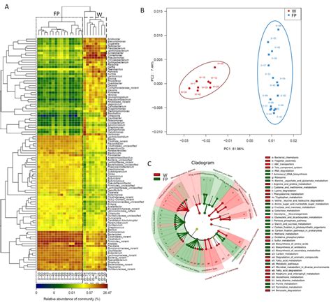 凌恩生物文献分享 颠覆性的宏基因组新思路，速来get！ 知乎