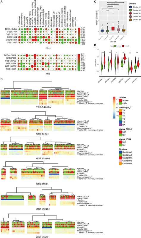 A Novel Molecular Immune Classifier Of Five Subclusters By Lasso