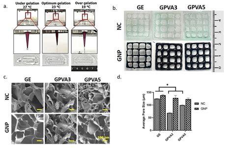 Assessment Of The Potential Bioinks Using The 3d Bioprinting Download Scientific Diagram