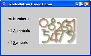 Java JRadioButton Class Example