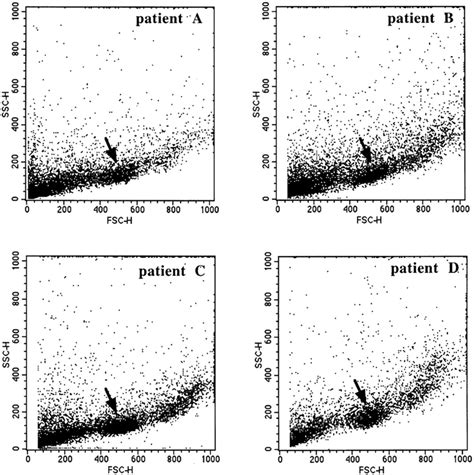 Flow Cytometric Analysis Of Spermatogenetic Cell Populations Obtained Download Scientific