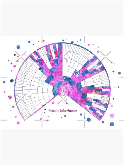 Female Inheritance Chart Female Inheritance Female X Dna Inheritance