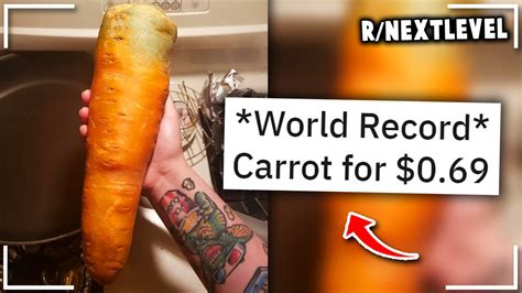 R Nextlevel I Found The Largest Carrot Ever For 0 69 World