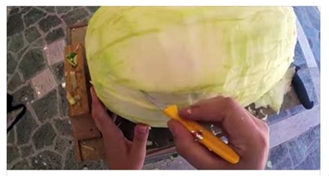 მან გაფრცქვნა საზამთრო და თქვენ ალბათ ვერასდროს ვერ წარმოიდგენდით ასეთ ტრანსფორმაციას