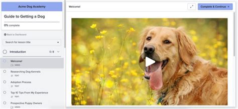 Payhip Review 2025 What Is It Worth [honest Opinion]