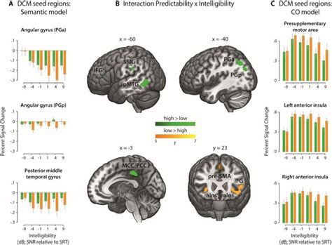 Group Level Fmri Results Illustrating Brain Regions That Are Sensitive