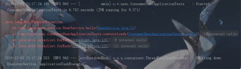 Springboot整合dubbo时，消费者调用提供者的方法时出现空指针异常dubbo服务提供者内容为空 Csdn博客