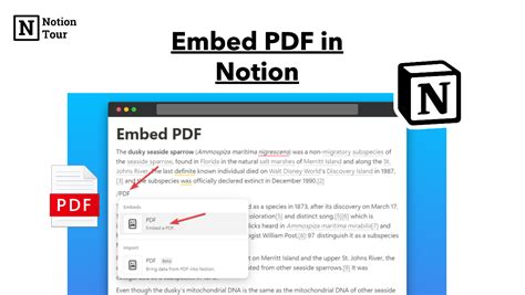 How To Import MS Excel Spreadsheets To Notion Notion Tour