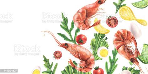 재료와 삶은 새우 Arugula 메추라기 알 체리 토마토 라임 레몬 수채화 그림입니다 Shrimp 컬렉션의 구성 메뉴 요리법 샐러드의 디자인과 디자인 수채화에 대한 스톡
