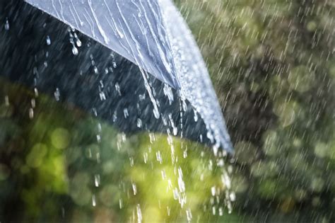 雨季图片 下雨图片 雨季专题图片素材 摄影照片 免费下载 寻图