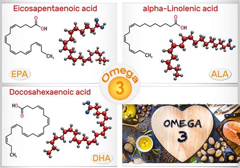 ¿cuáles Son Los 3 ácidos Grasos Omega 3
