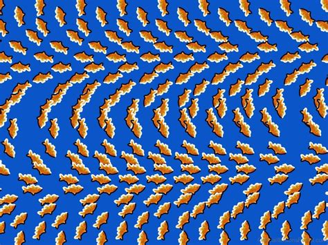 50 Nice Stereogram Illusion