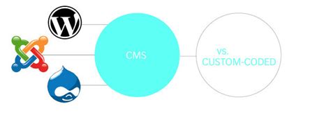 Custom Code Vs Pre Built Cms Navigating The Best Choice For Your
