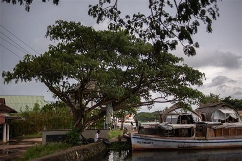 What Is Tomato Flu The New Viral Infection Spreading In India The