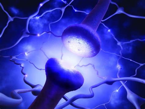 Brain Health Dietary Supplements This Is Your Brain On Phospholipids