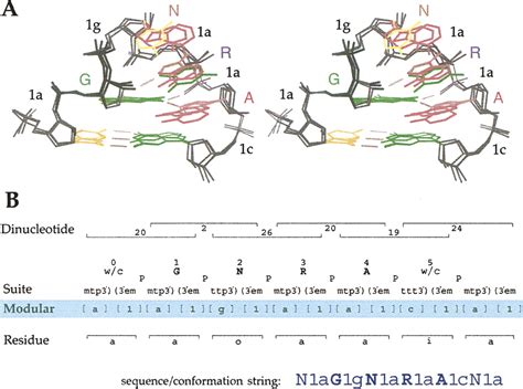 Rna Backbone Consensus All Angle Conformers And Modular String Nomenclature An Rna Ontology