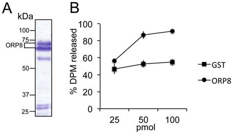 The Orp8 Ligand Binding Domain Binds Cholesterol A The Purified His