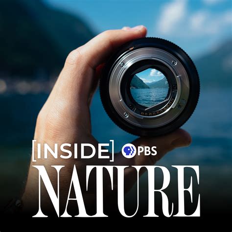 Pbs Nature Logo