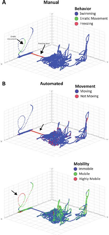 3 Comparison Of Manual And Automated Behavioral Endpoints For Temporal