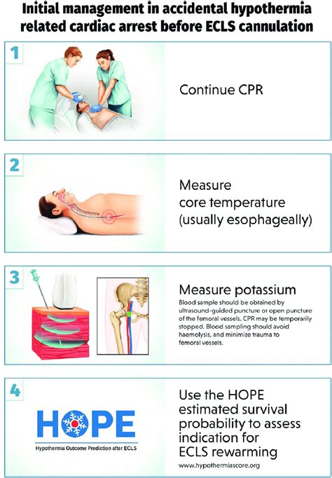 What Is Hypothermia Protocol At Hazel Anderson Blog