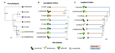 Comparison Of Host Phylogeny And Skin Microbiota Dendrograms A