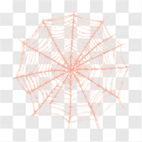 Cobweb Texture PNG Download Free Premium Transparent Cobweb Texture PNG Images Online