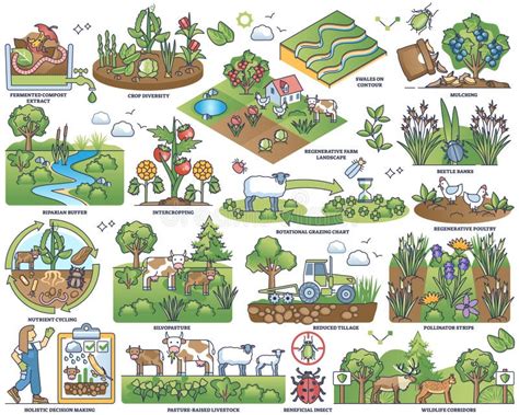 Regenerative Agriculture And Sustainable Crops Farming Outline