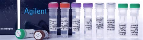 Master Mixes For Real Time Pcr Qpcr Applications Agilent