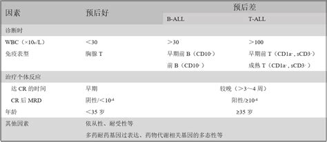 血液肿瘤 ‖ 成人急性淋巴细胞白血病的临床诊断星云基因 基因科技服务千家万户