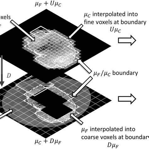 Schematic Of Multiresolution Regularization Scheme Illustrating How The