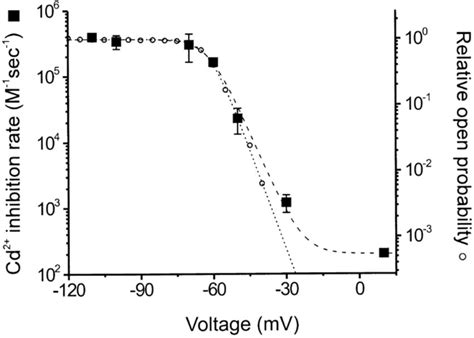 Voltage dependence of the Cd² inhibition rate of C channels Rate Download Scientific