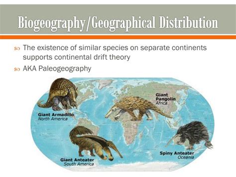 Ppt Evidences Of Evolution Powerpoint Presentation Free Download