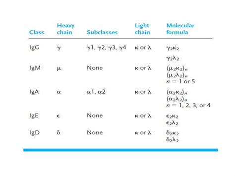 Antibodies Classes And Function Pptx