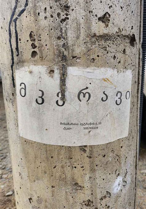 ეკა კერესელიძე ფინალური პროექტი გრაფიკულ დიზაინში