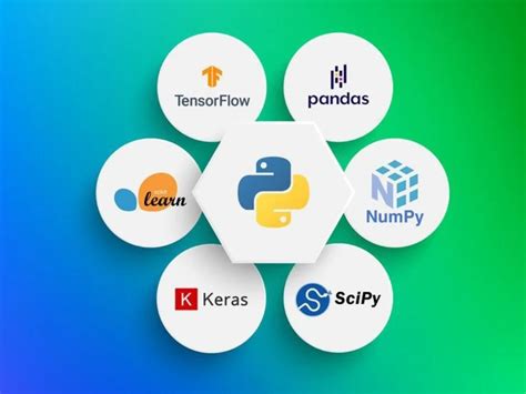 Apa Itu Python Menyelami Bahasa Pemrograman Terpupuler