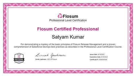 Satyam Kumar On Linkedin Devops Salesforce Salesforce Releasemanagement