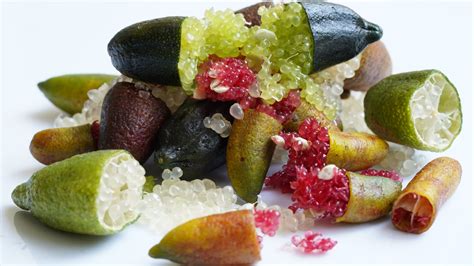 Australian Native Lime Recipes At Mikayla Skene Blog