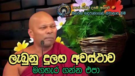 සිත් පහන් වැට පහන් කන්ද දහම් අසපුව පින්වත් හඳපාන්ගොඩ නිවාතාප ස්වාමීන් වහන්සේ Youtube