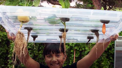 Teens Create Automated Aeroponics Garden Kit With Nasa Tech